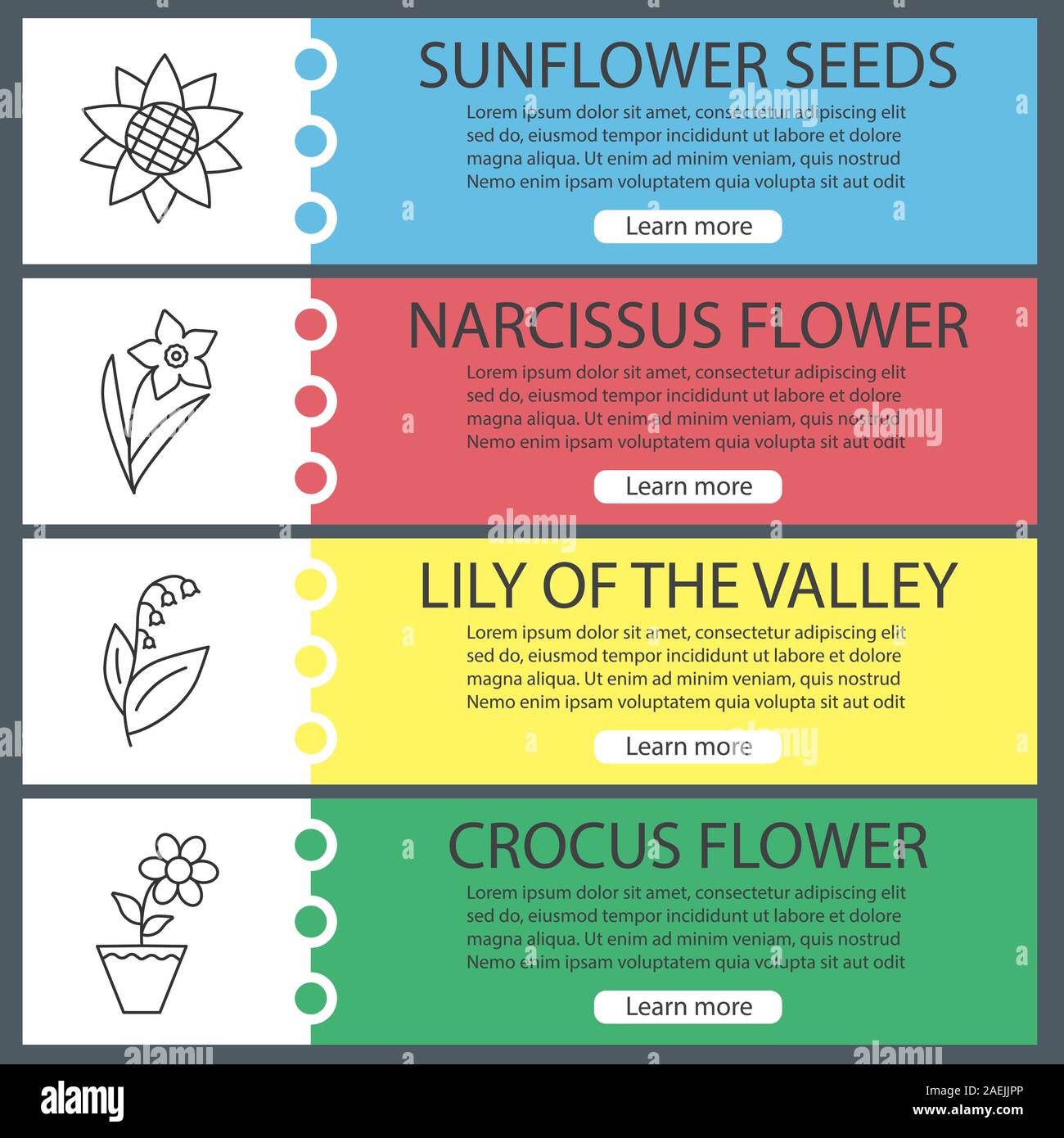 Flowers web banner templates set. Sunflower, daffodil, lily of the ...