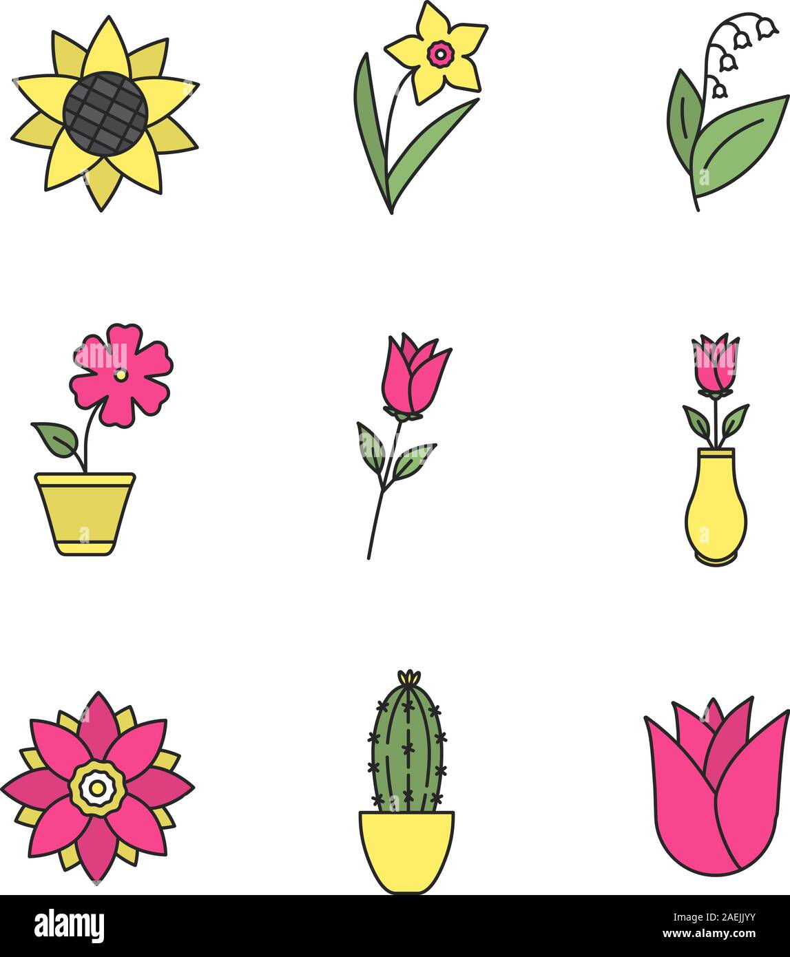 Flowers color icons set. Sunflower head, daffodil, may-lily, hibiscus ...