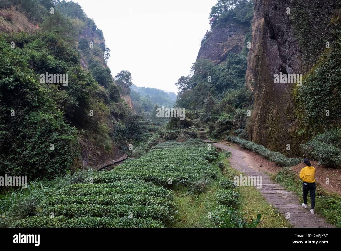 Wuyi shan china hi-res stock photography and images - Alamy