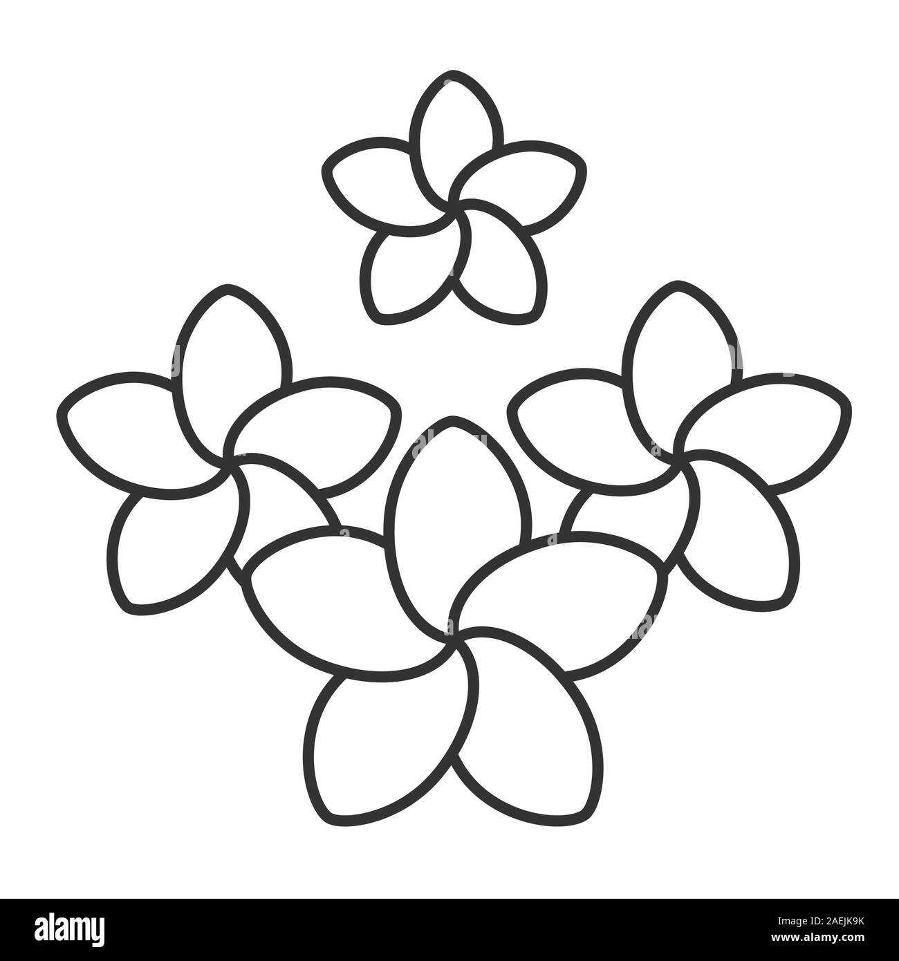 Spa salon plumeria flowers linear icon. Thin line illustration ...