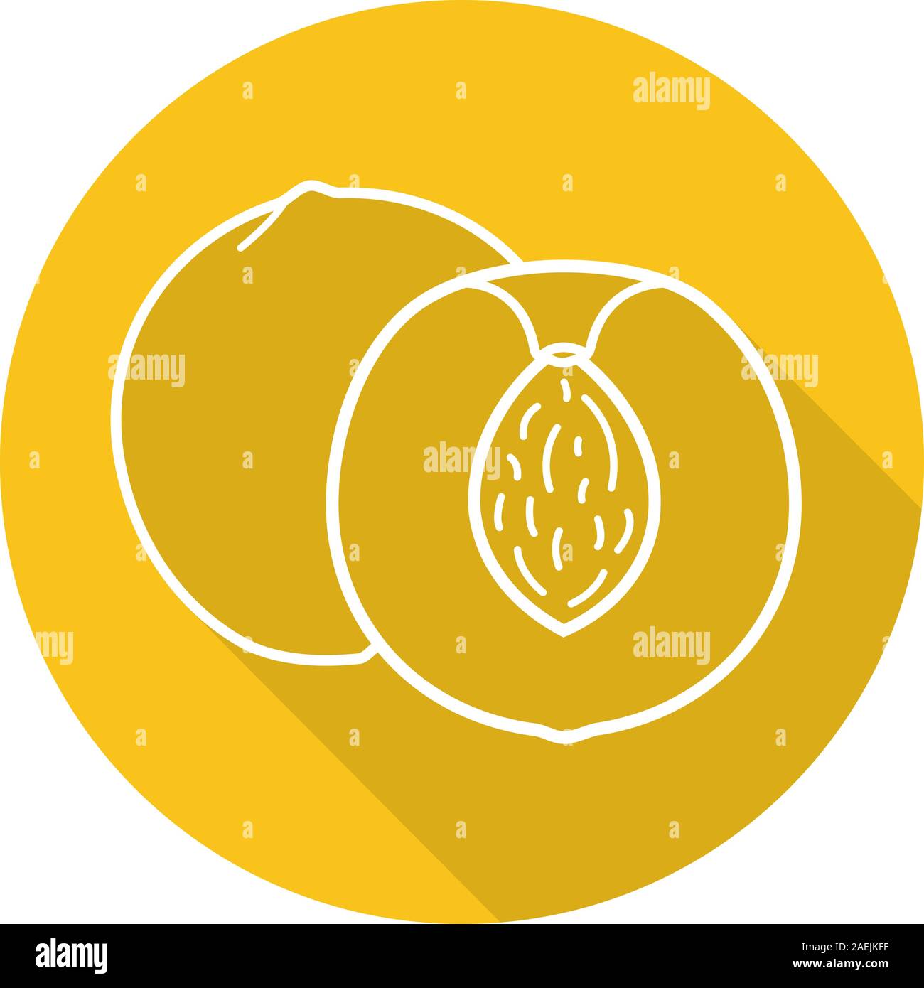 Apricot flat linear long shadow icon. Vector outline symbol Stock ...