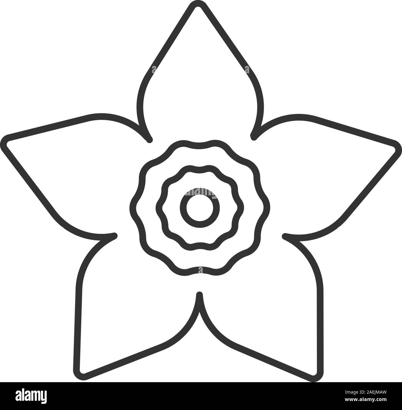 Narcissus, jonquil head linear icon. Flowering plant thin line ...