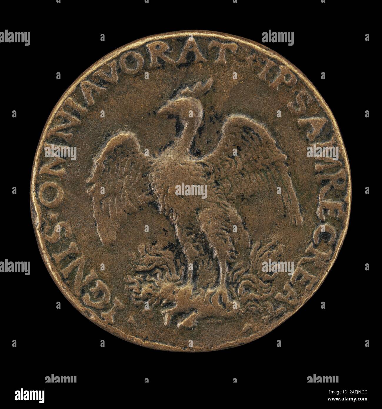 Mantuan's early 1490s engraving of a phoenix on a burning pyre (reverse ...