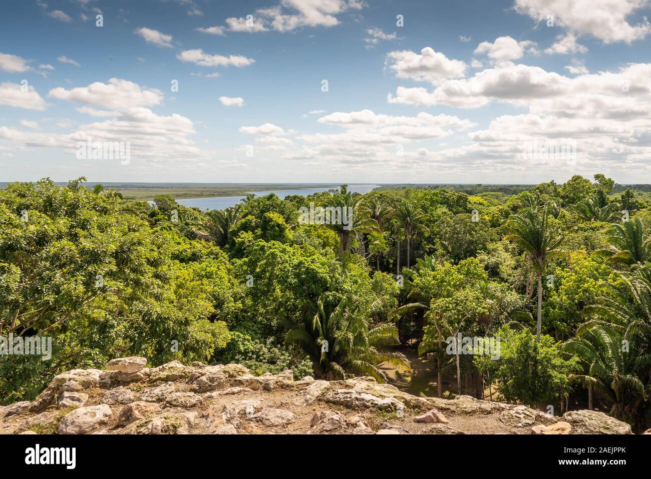 Orange Walk, Belize - November, 16, 2019. A view of the jungle and New ...
