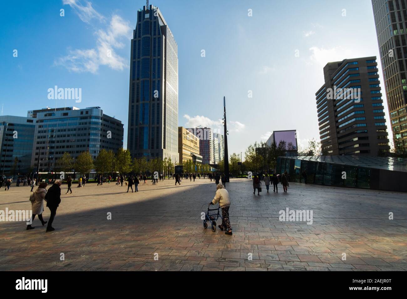 Rotterdam city skyline illustration hi-res stock photography and images ...