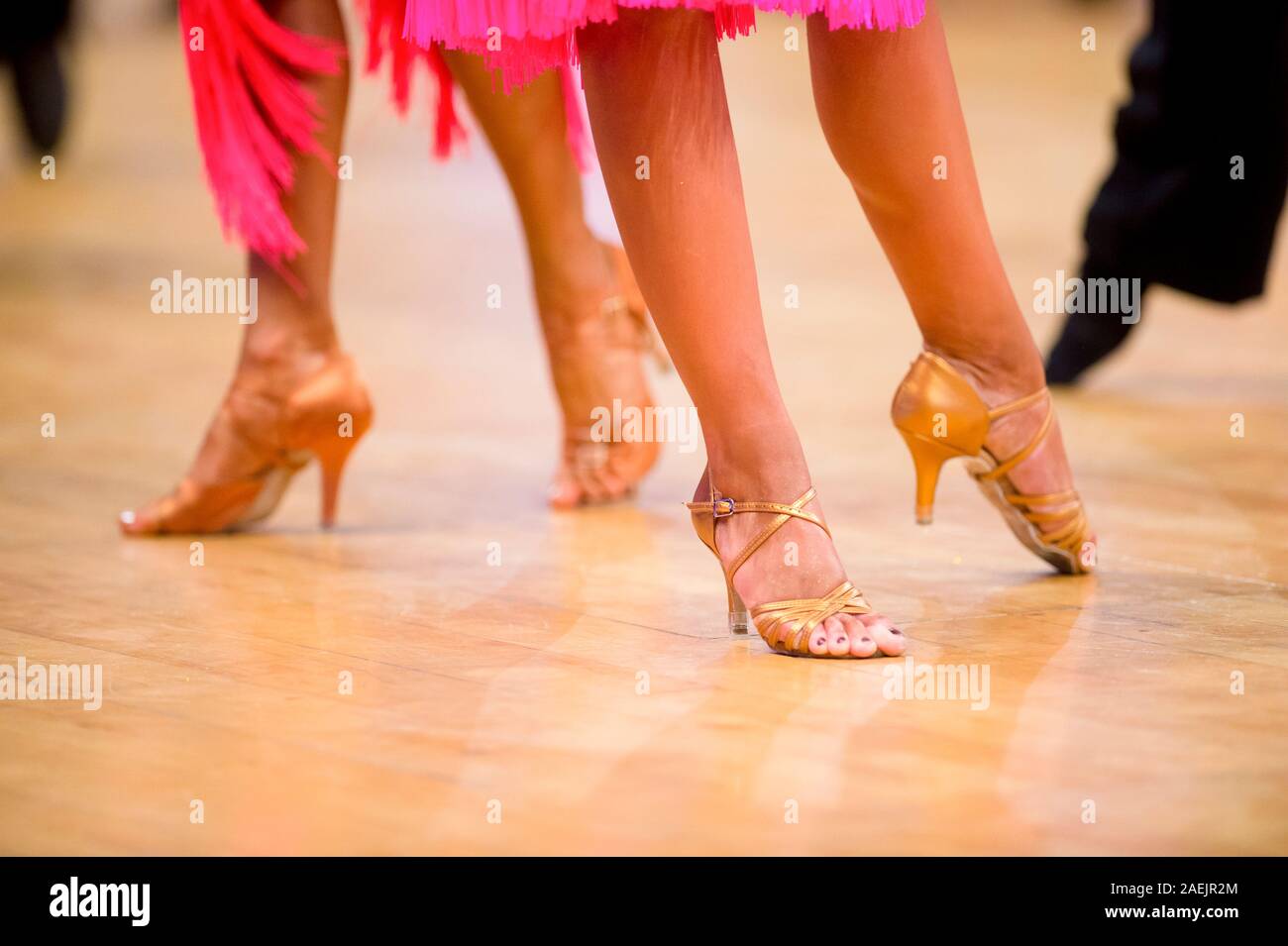 Latin ballroom dancing hi-res stock photography and images - Alamy