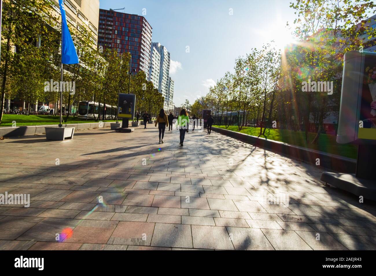 Rotterdam city skyline illustration hi-res stock photography and images ...
