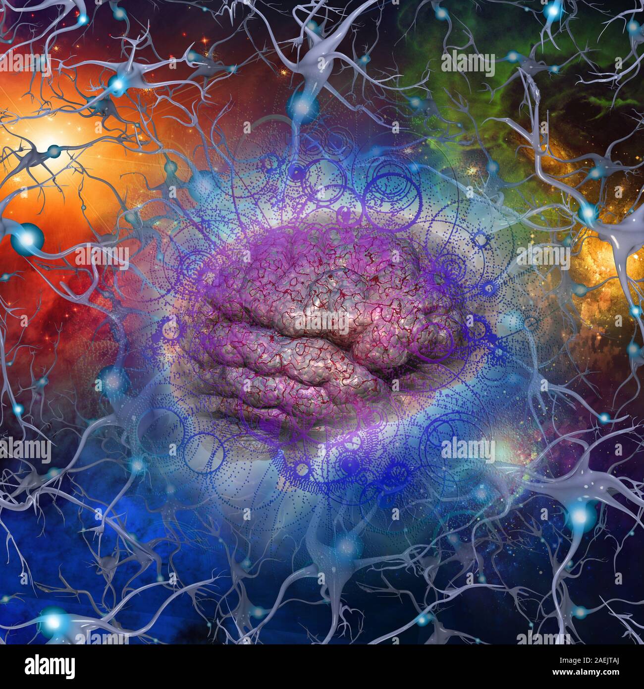 Vivid composition. Human brain in colorful neurons Stock Photo - Alamy Vivid composition. Human brain in colorful neurons Stock Photo - Alamy