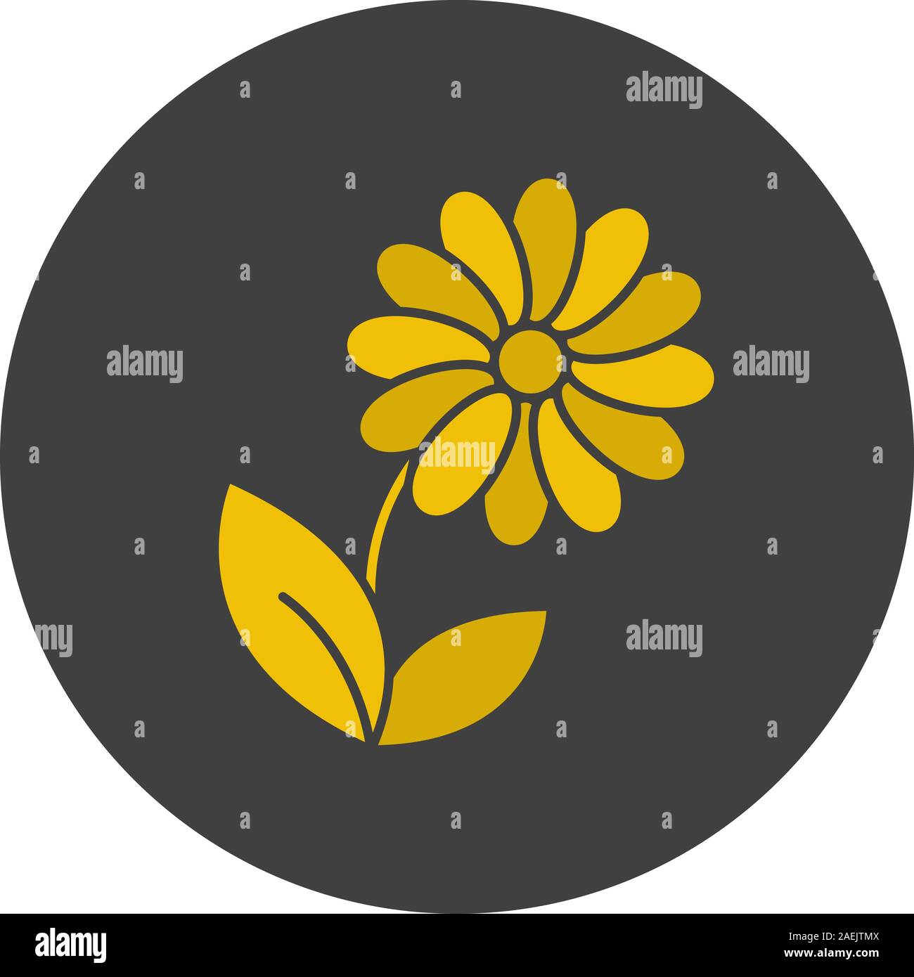 Camomile glyph color icon. Flower. Silhouette symbol on black ...