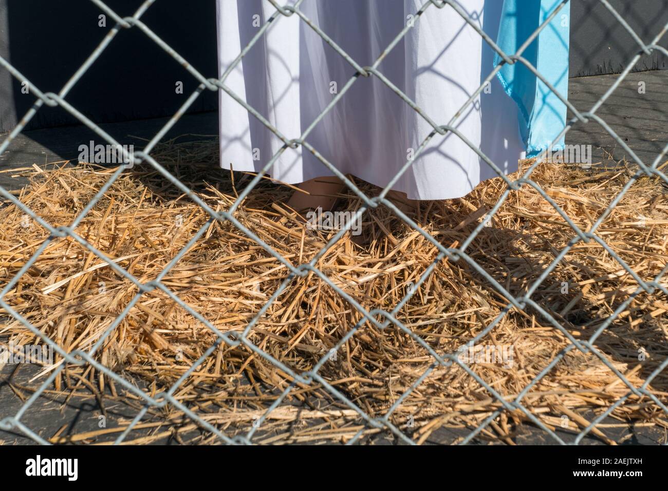 Claremont 9 December 2019 - Nativity scene with baby Jesus, Mary and ...