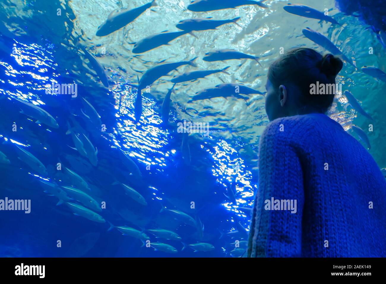 Underwater vortex hi-res stock photography and images - Alamy