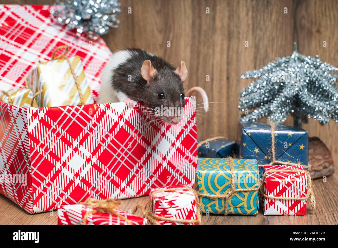 The symbol of 2020 is a rat, a New Year's decor elements. Year of the ...