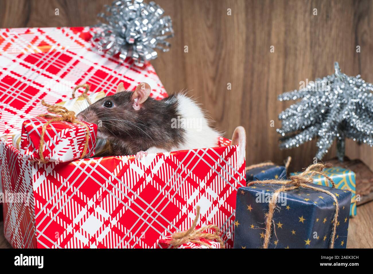 The symbol of 2020 is a rat, a New Year's decor elements. Year of the ...
