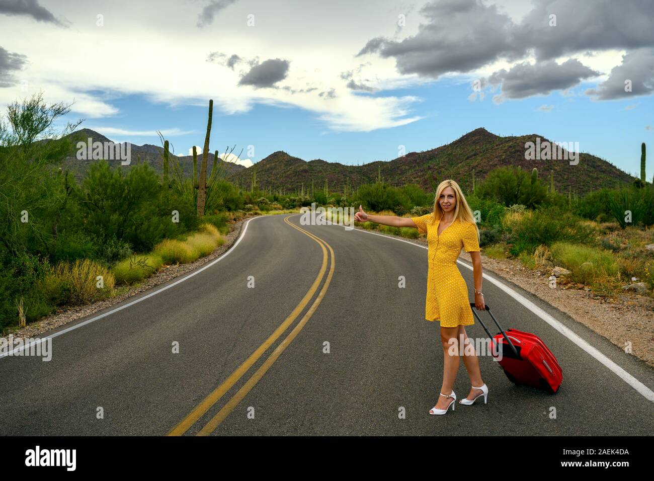 Attractive blond woman hitchhiking for a ride while pulling her red ...