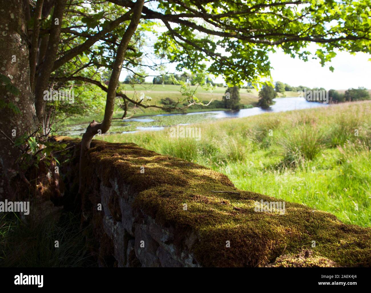 A dappled view of a Capability Brown river-lake at Rothley Stock Photo ...