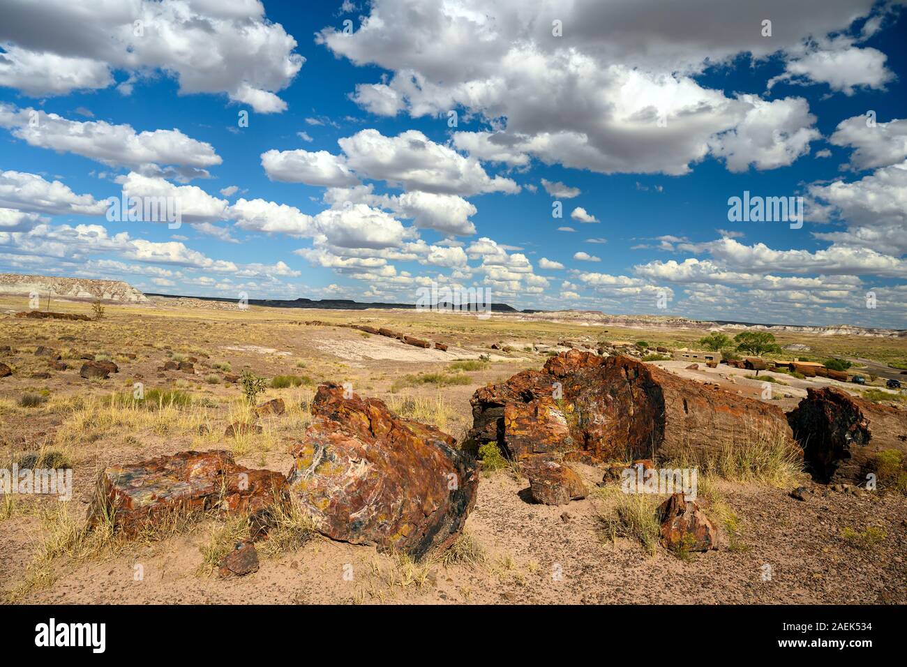 Petrified Forest National Park (fossils and large deposits of petrified ...