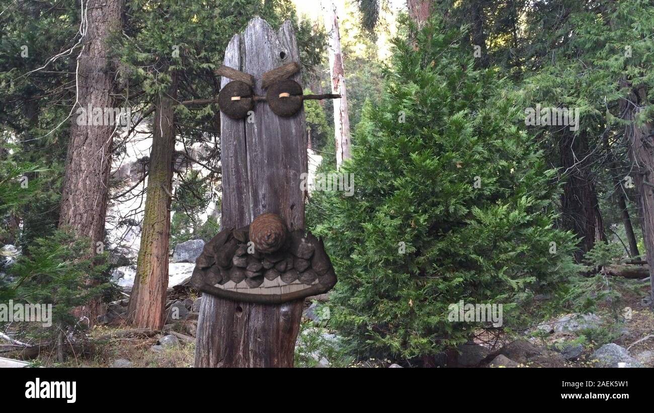 CAKE, (short: 'Tree Secrets'), 'Inside Out', (Season 1, Episode 102 ...