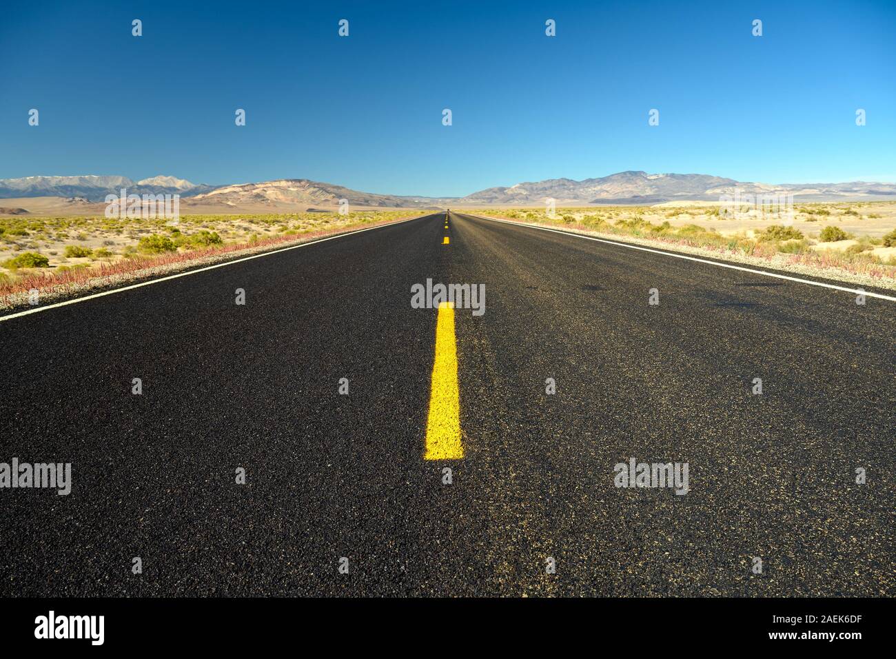 Empty road that is straight up to the horizon, leads to nowhere Stock ...