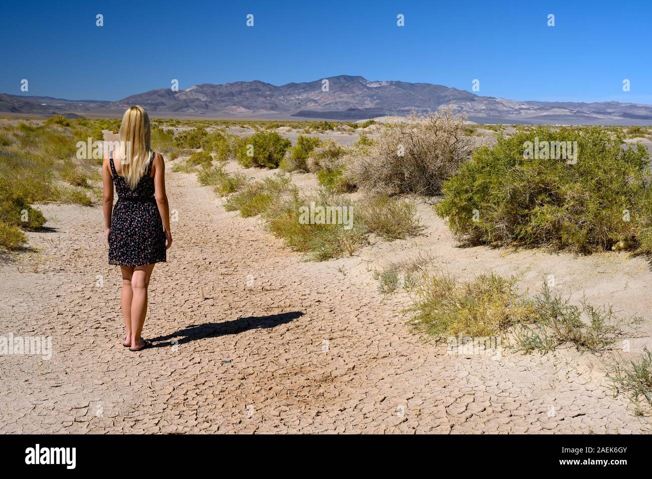 Woman watching closely the cracked earth, dried out land. Lack of ...