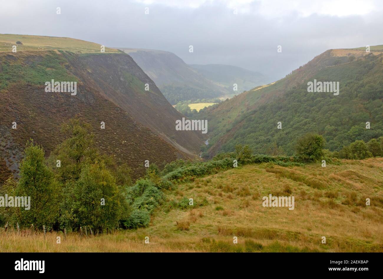 Dylife Gorge High Resolution Stock Photography and Images - Alamy