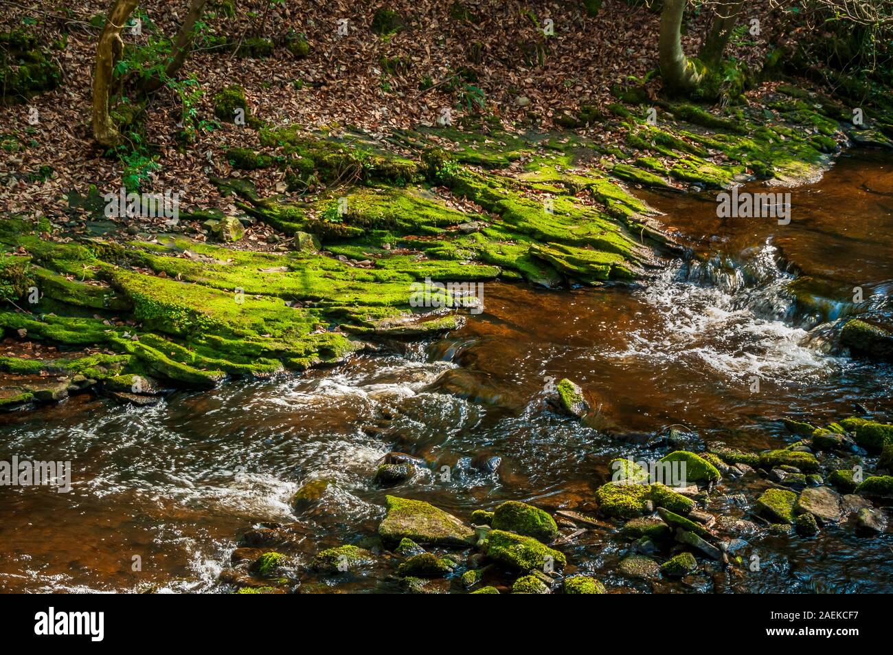 Fast-flowing water in the Rivelin Valley, near Sheffield Stock Photo ...