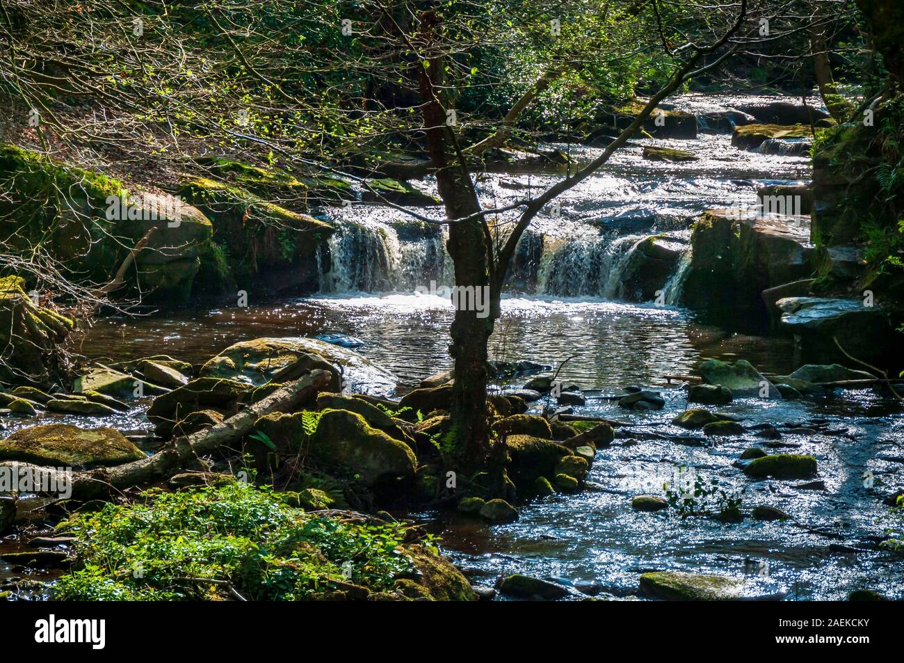 Fast-flowing water in the Rivelin Valley, near Sheffield Stock Photo ...