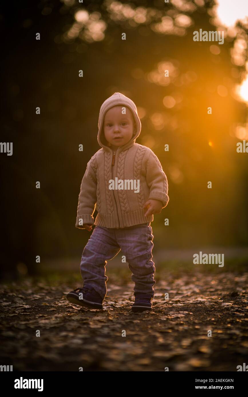 Toddler walking, autumn, sunset Stock Photo - Alamy