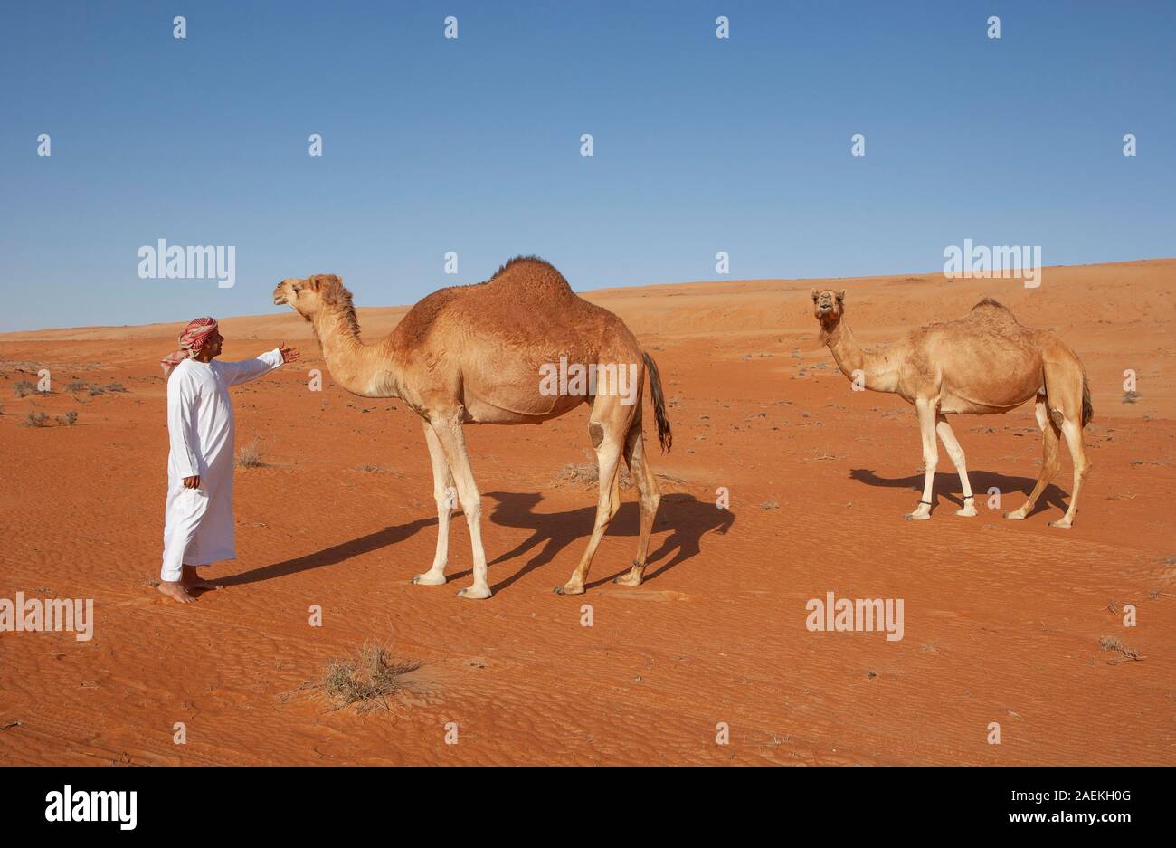 All in traditional clothing hi-res stock photography and images - Alamy