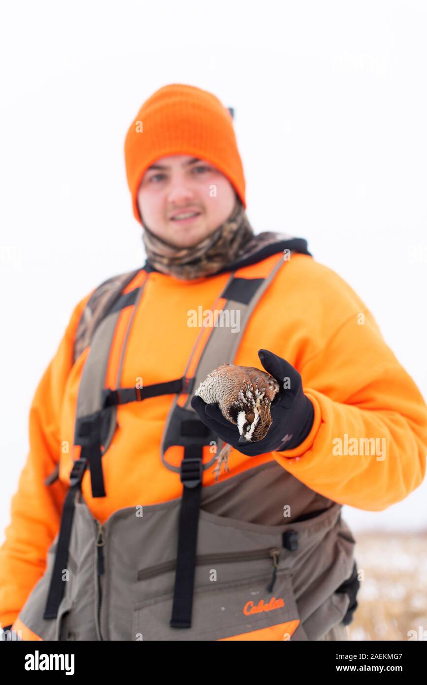 A young Hunter in Kansas with Bobwhite Quail Stock Photo - Alamy