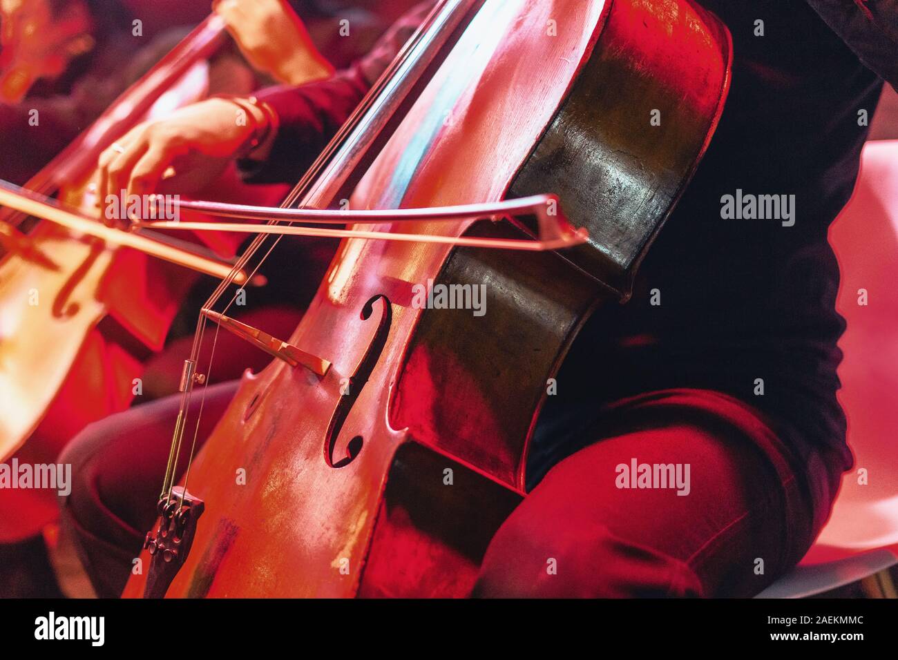 Cello concert with instrument close up. Red vibrant background at rock ...