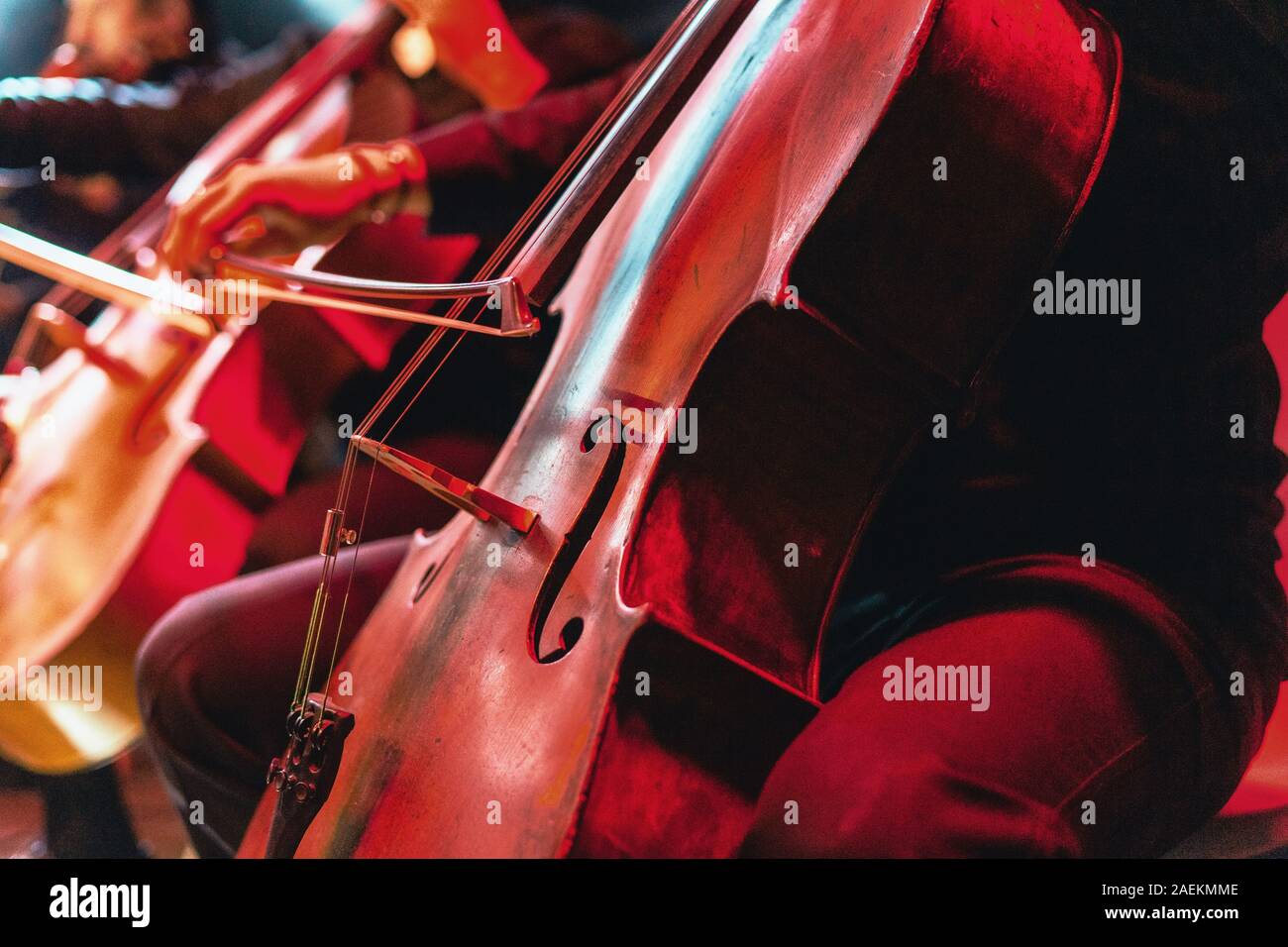 Cello concert with instrument close up. Red vibrant background at rock ...