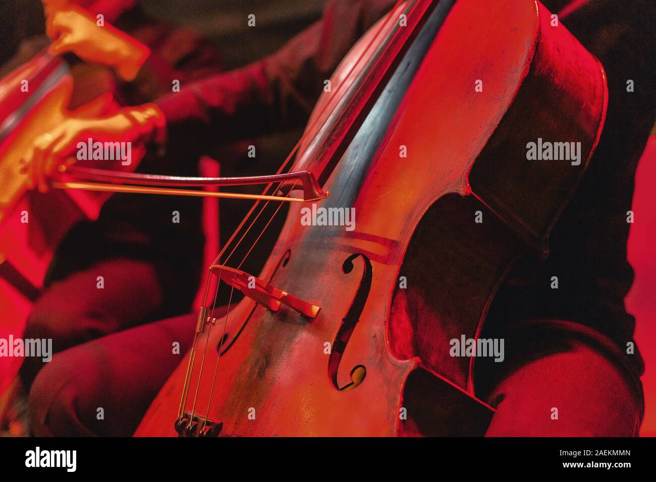 Cello concert with instrument close up. Red vibrant background at rock ...