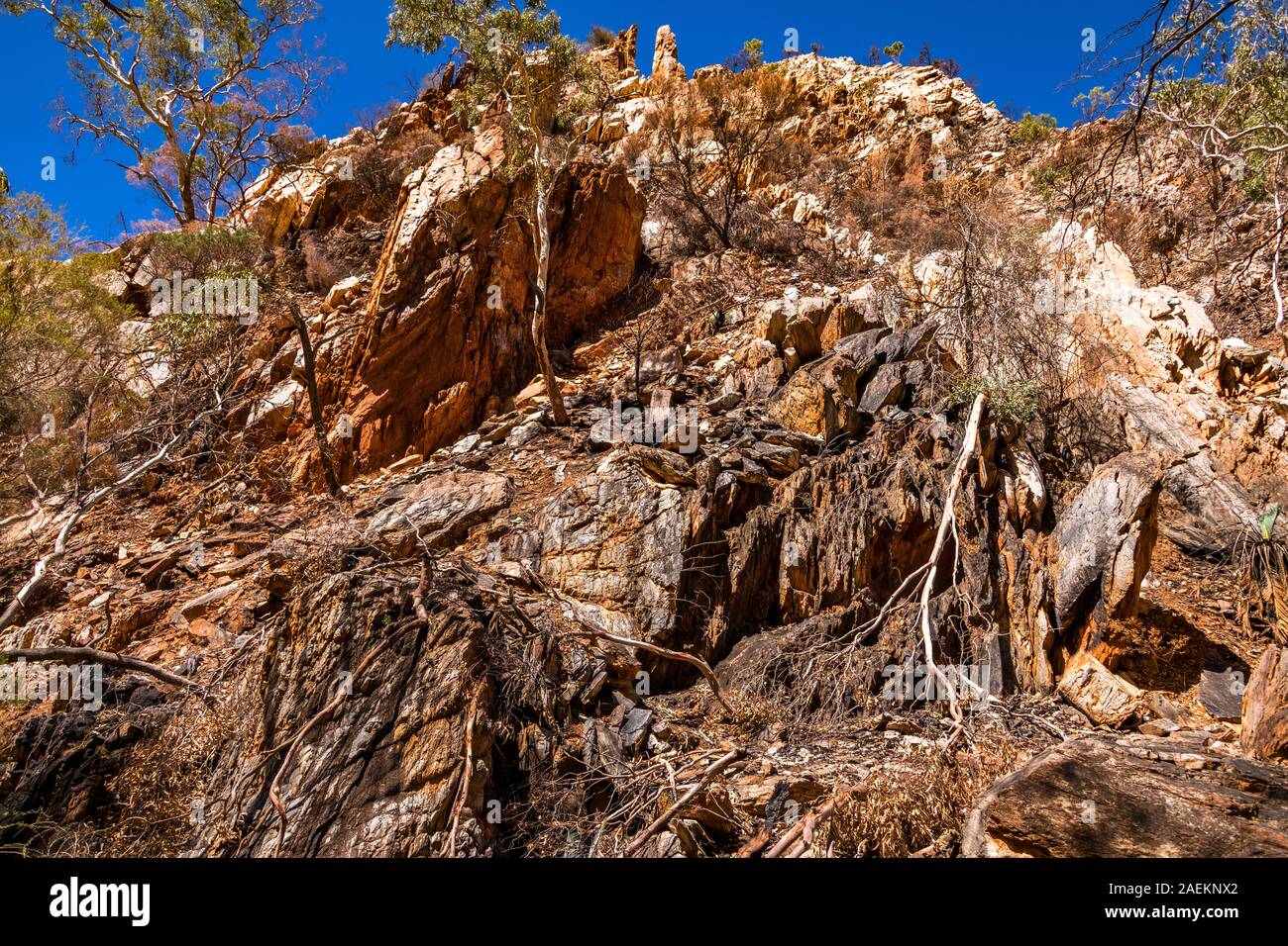 After effects of the Jan 2019 bushfires and subsequent regrowth in the ...