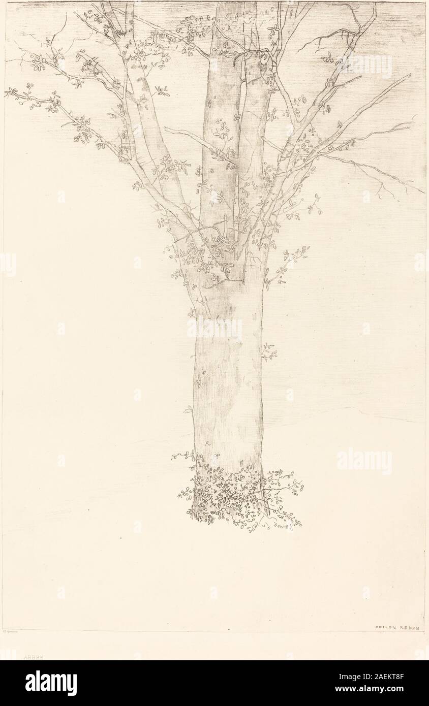 Odilon Redon, Arbre (Tree), 1892 Arbre (Tree); 1892date Stock Photo - Alamy