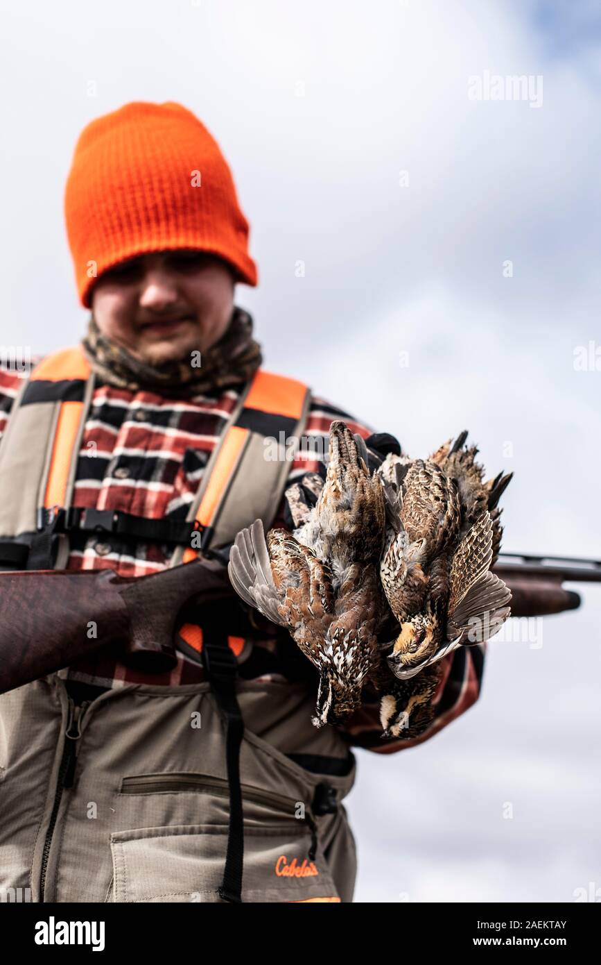 A young Hunter in Kansas with Bobwhite Quail Stock Photo - Alamy