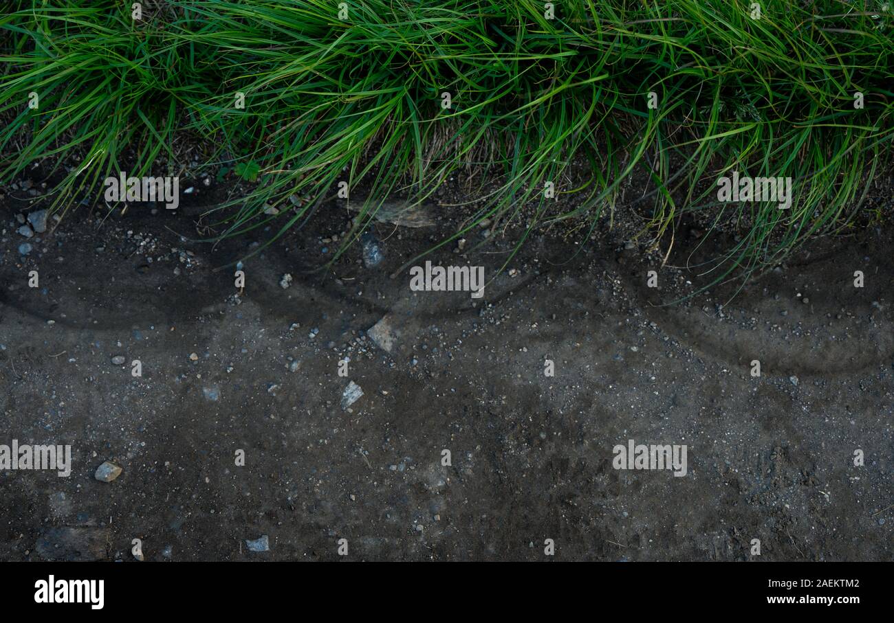 Blowing Grass Makes Pattern In Trail from constant sweeping Stock Photo ...