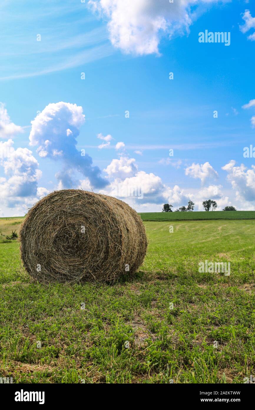 Hay bale farm hi-res stock photography and images - Alamy