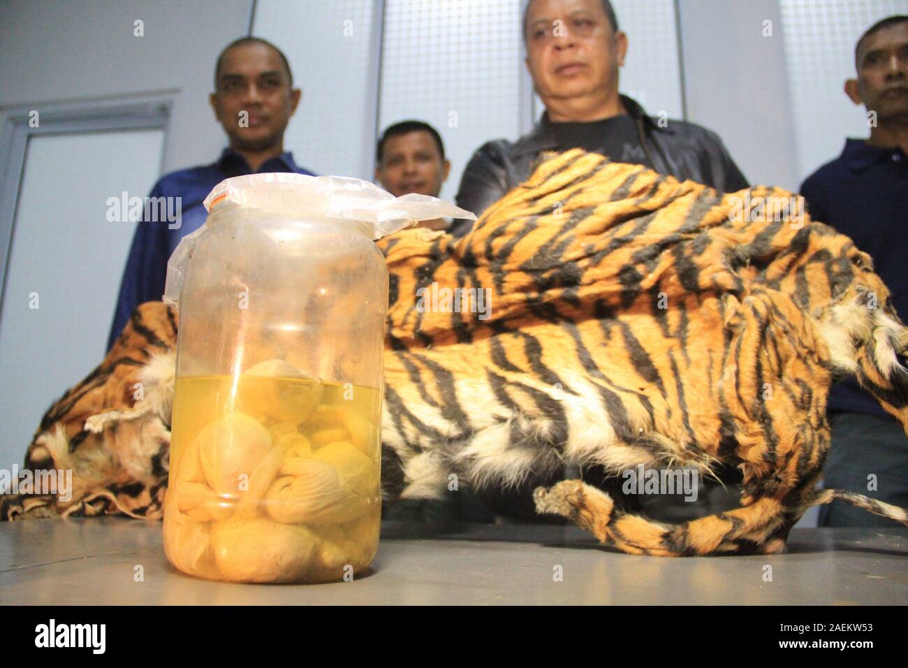 Pelalawan regency hi-res stock photography and images - Alamy