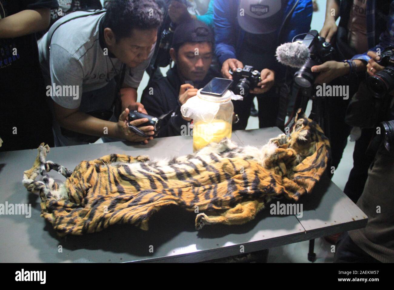 Pelalawan regency hi-res stock photography and images - Alamy