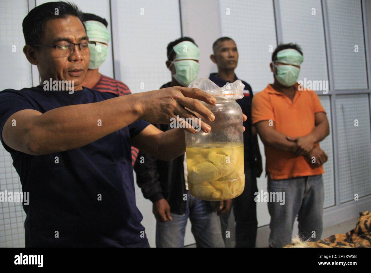 Pelalawan regency hi-res stock photography and images - Alamy