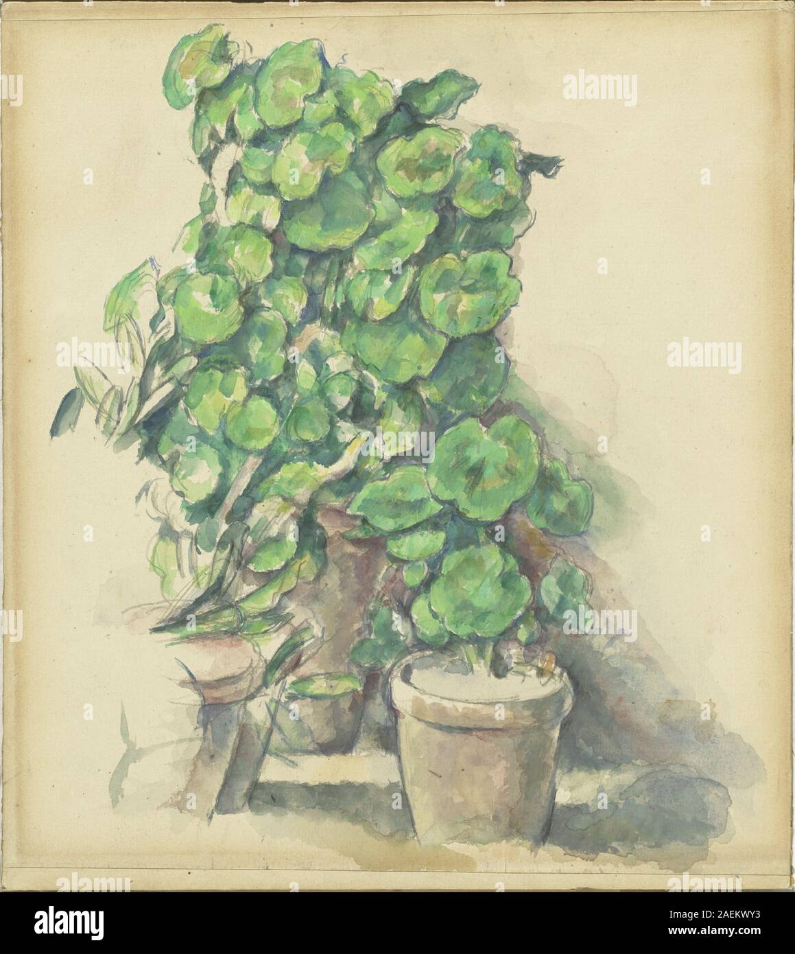 Geraniums form hi-res stock photography and images - Alamy