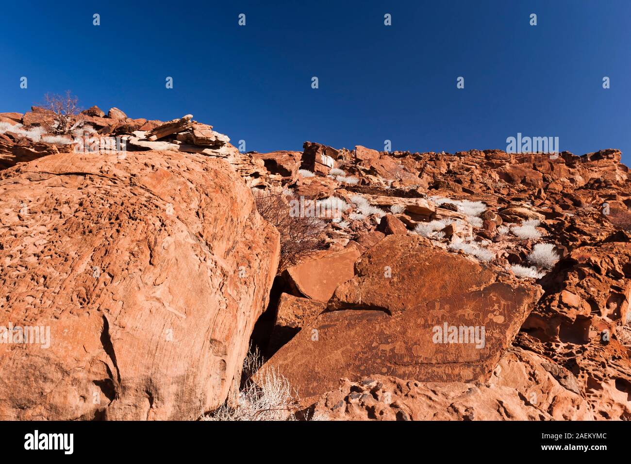 Twyfelfontein, ancient bushman(San) rock engravings, Twyfelfontein or ...