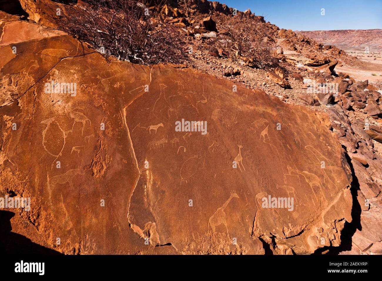 Twyfelfontein, ancient bushman(San) rock engravings, Twyfelfontein or ...