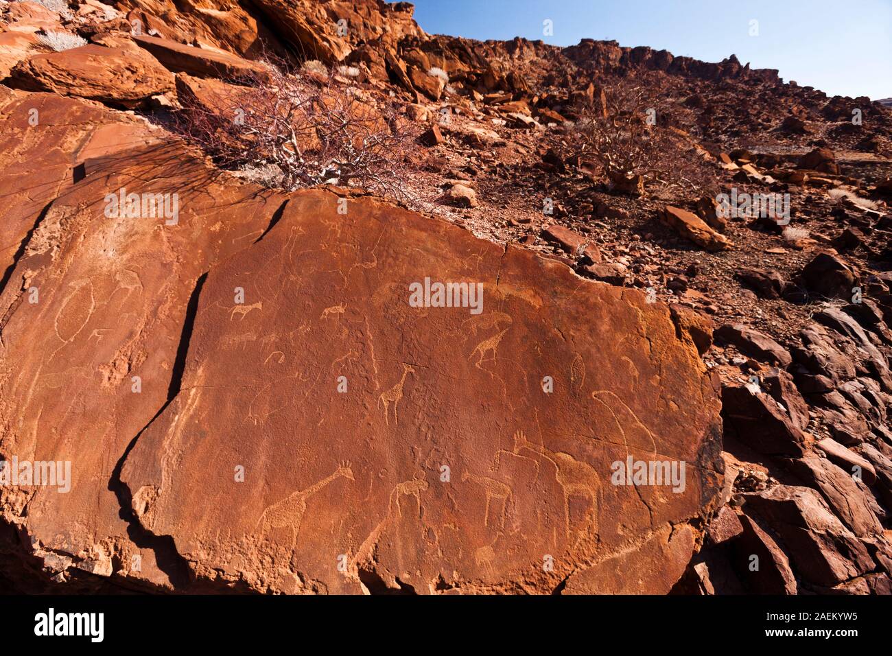 Twyfelfontein, ancient bushman(San) rock engravings, Twyfelfontein or ...