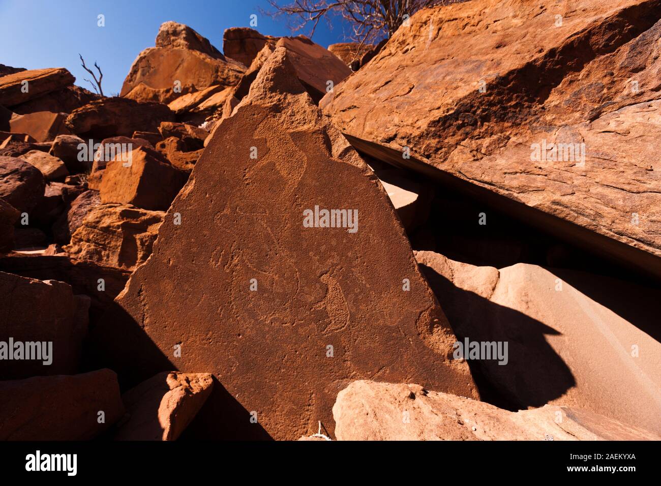 Twyfelfontein, ancient bushman(San) rock engravings, Twyfelfontein or ...