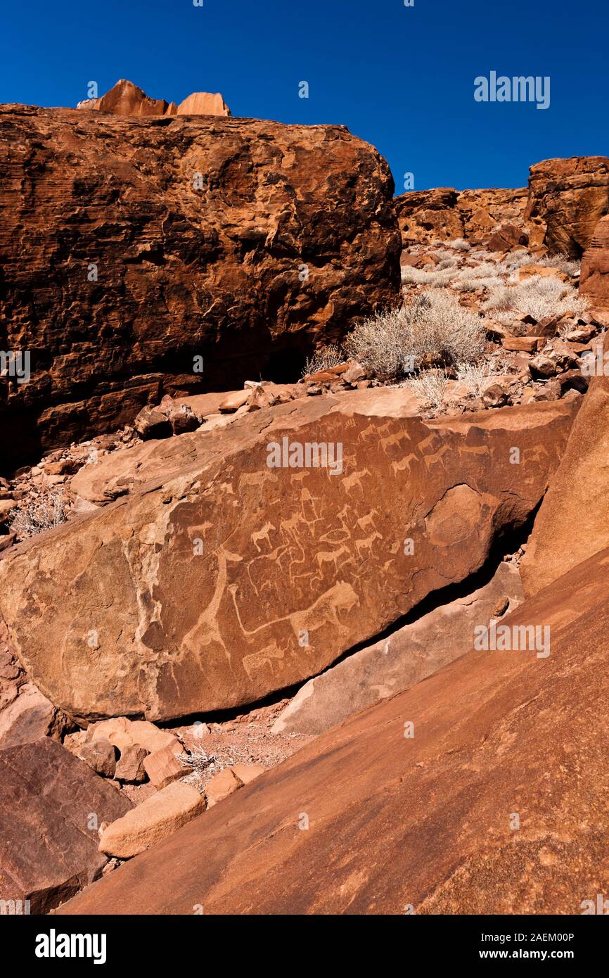 Lion man rock(Lion plate), Ancient bushman rock engravings ...