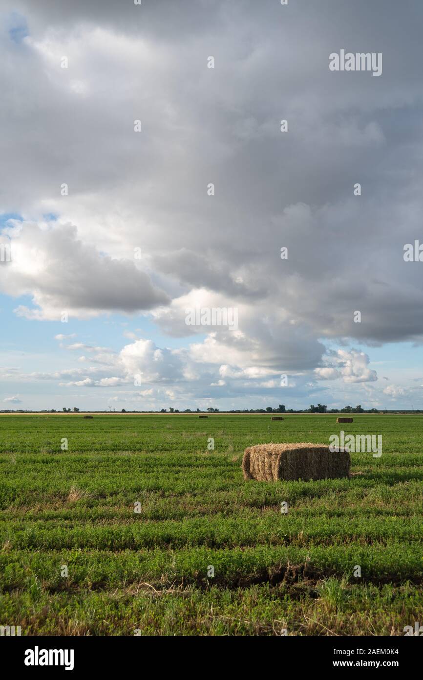 Hay square hi-res stock photography and images - Alamy