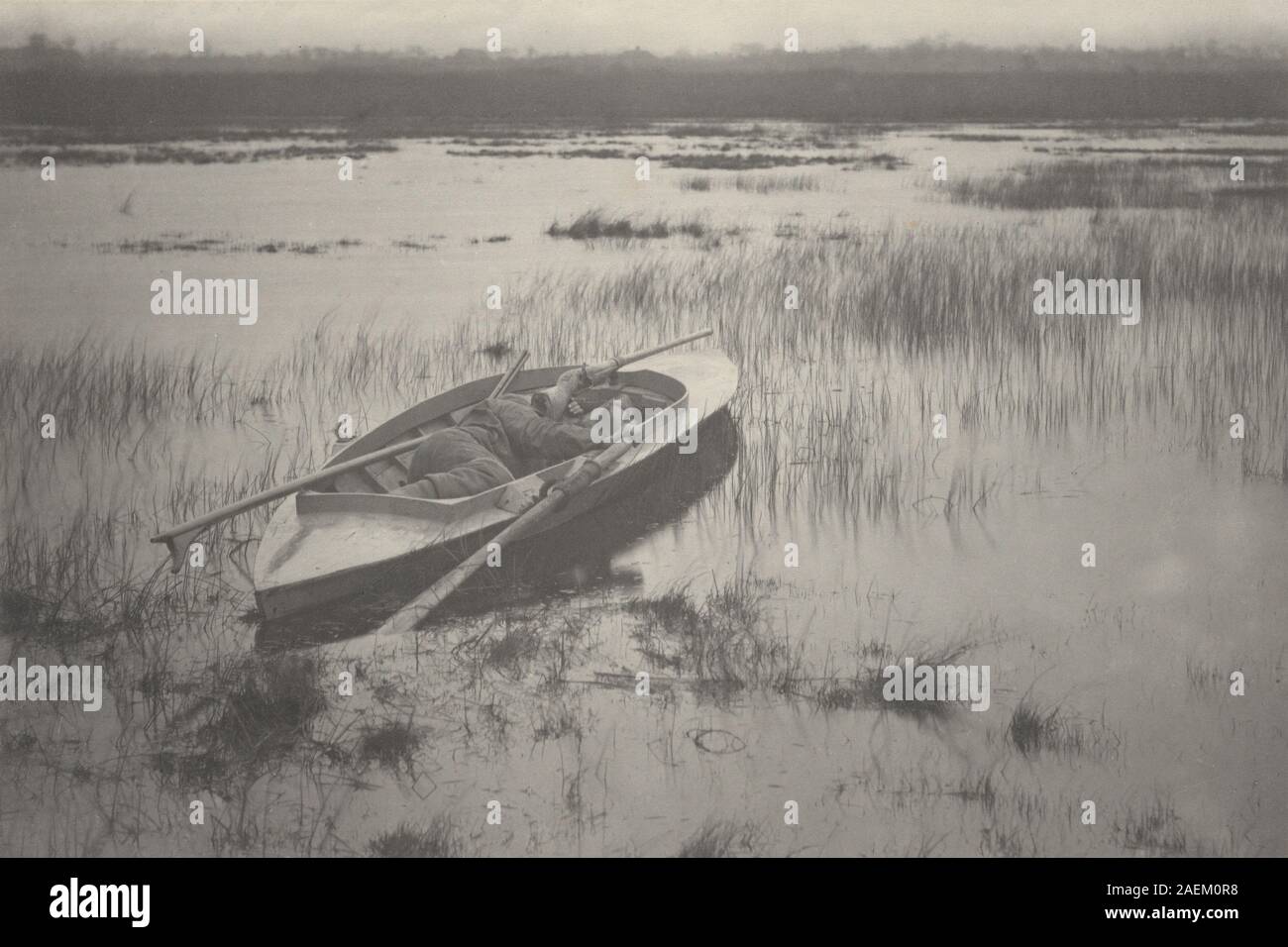 1886 birds hi-res stock photography and images - Alamy