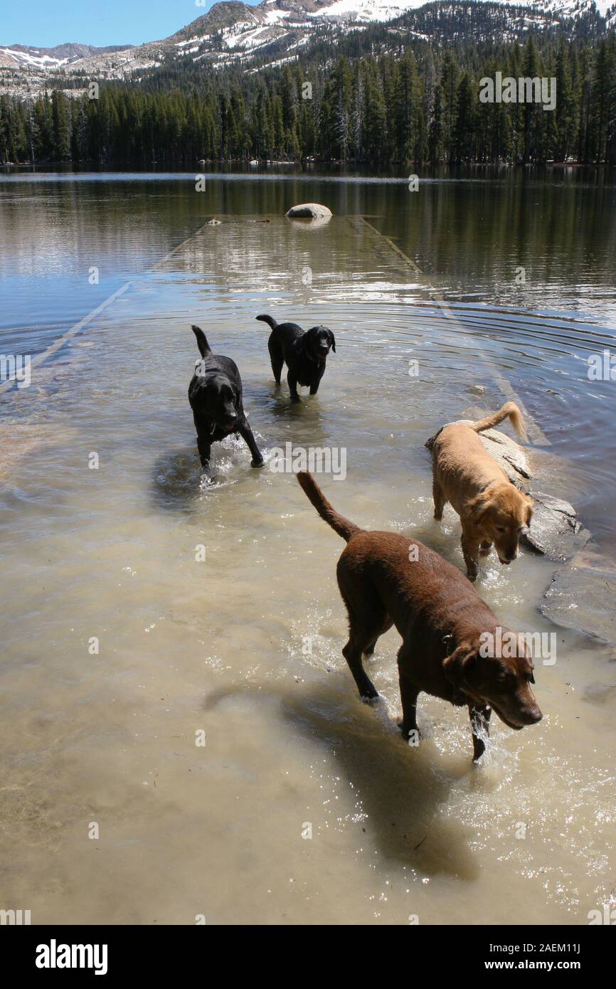 Friends running on dock hi-res stock photography and images - Alamy