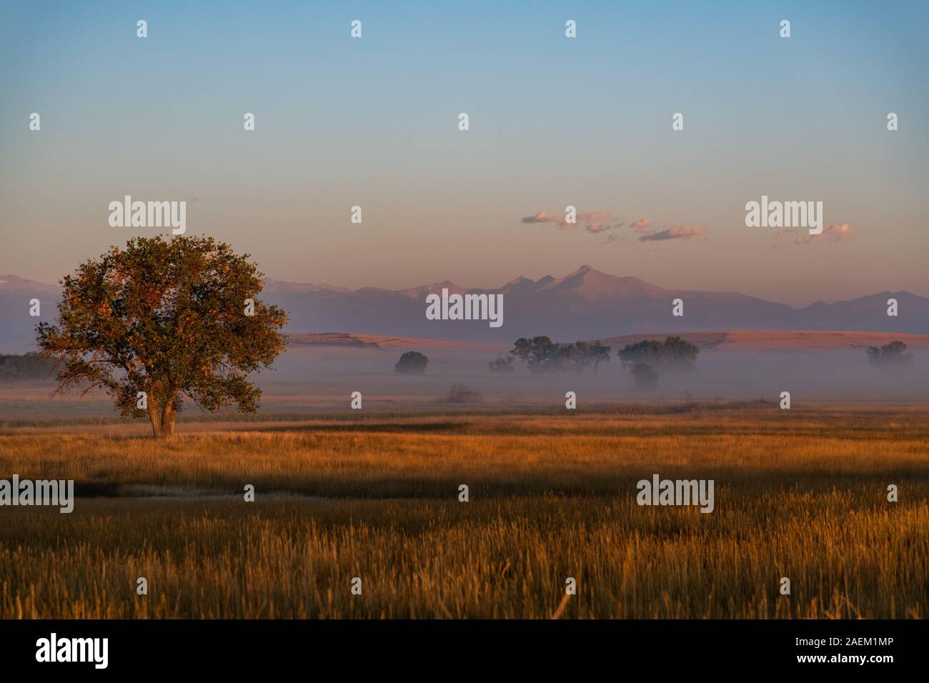 Prairie and beautiful scenery hi-res stock photography and images - Alamy